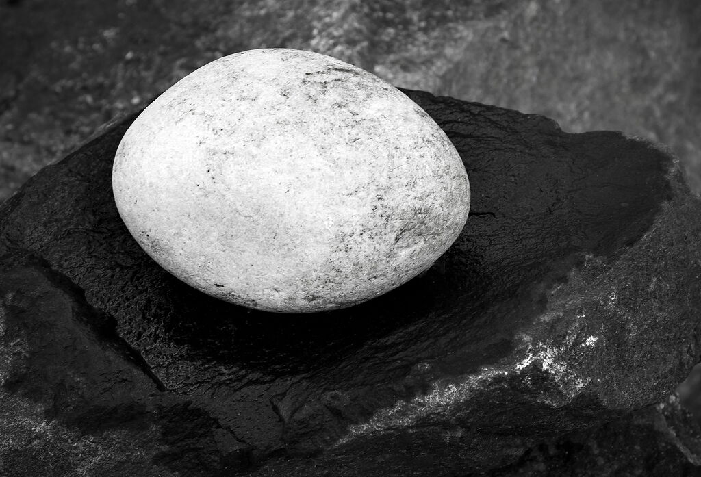 Look Over Shoulder - Macro/Close-up Critiques - Nature Photographers ...