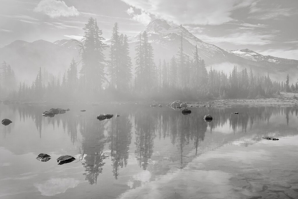 Gossamer Veil - Image Critiques - Nature Photographers Network