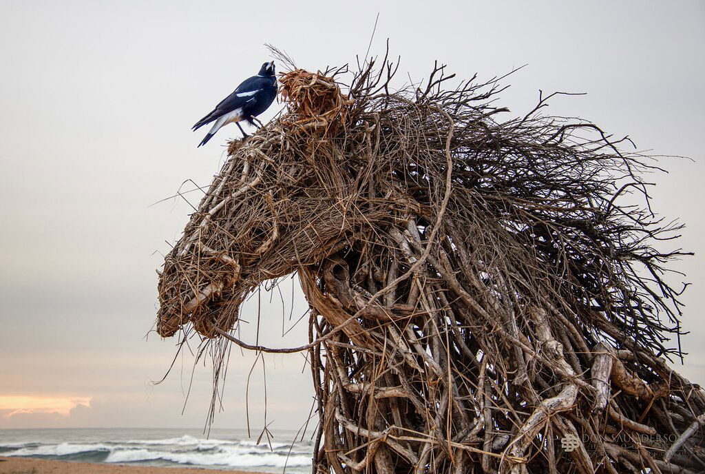 Magpie and the Masterpiece - Everything Else Critiques - Nature ...