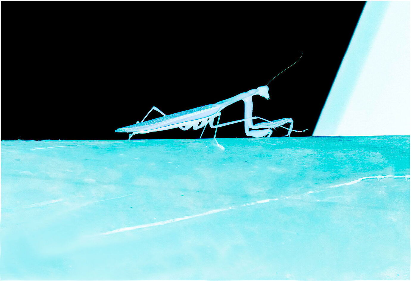 Why Am I Always Viewed Negatively? - Abstract Nature Critiques - Nature ...