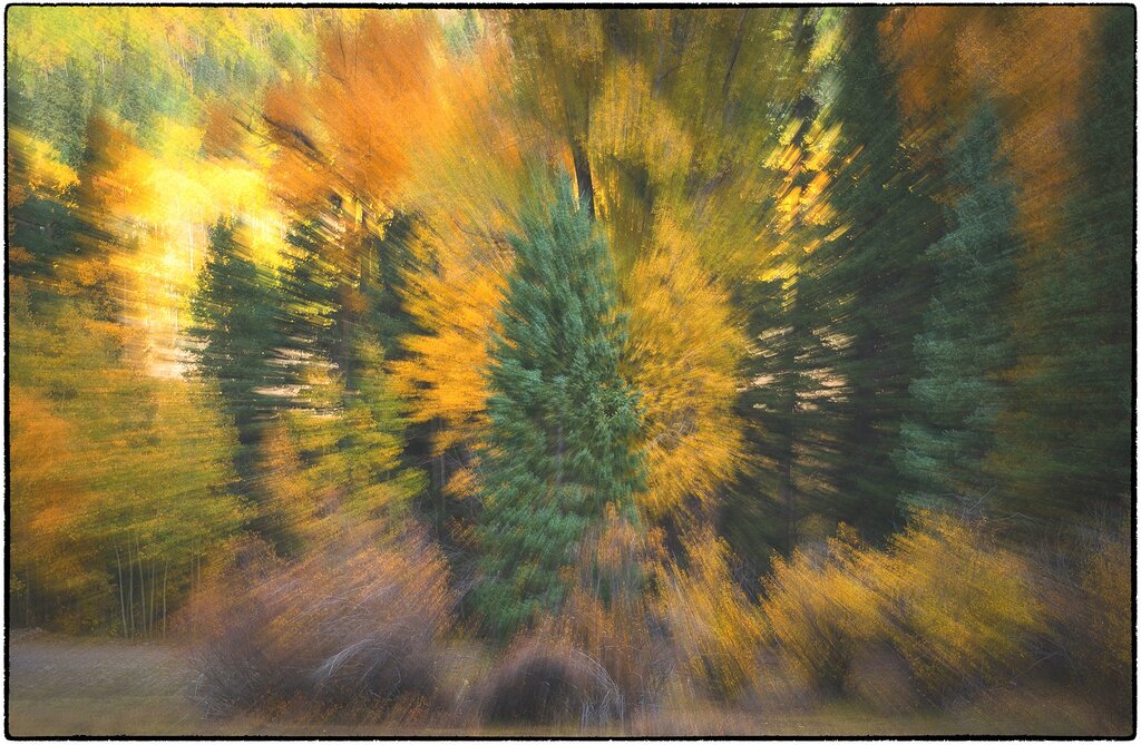 Joyous Forrest Explosion - Abstract Nature Critiques - Nature ...