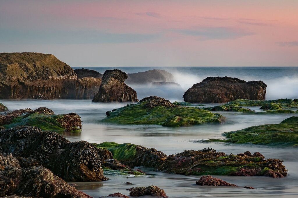 Exposed - Landscape Critiques - Nature Photographers Network