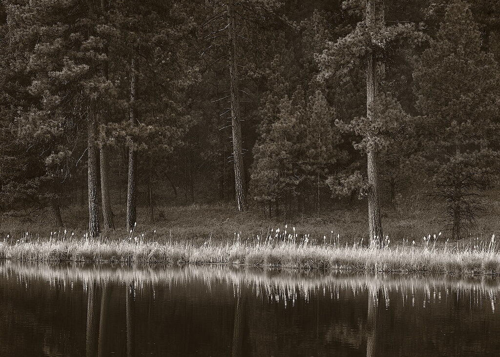 Lakeside Evening + Rework - Landscape Critiques - Nature Photographers ...
