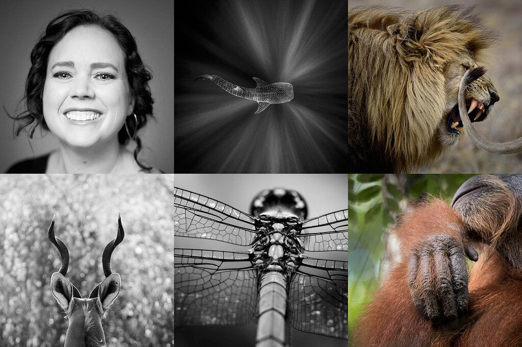 AMA - Kristi Odom - Upcoming NPN Events - Nature Photographers Network