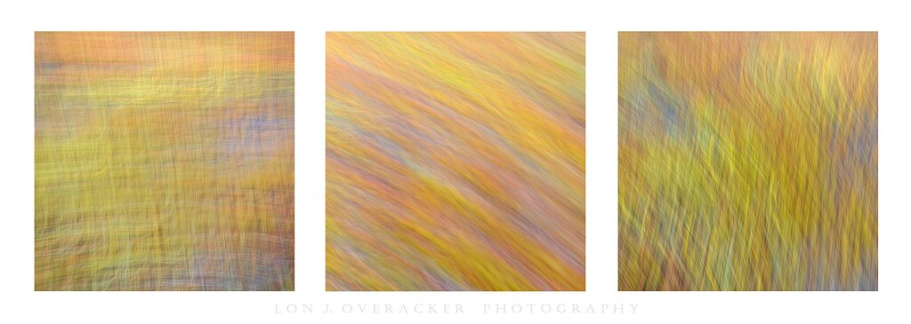 Color-copia Triptych - Abstract Nature Critiques - Nature Photographers ...
