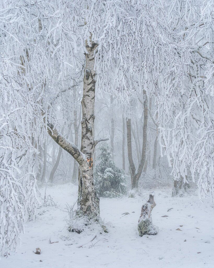 Frosty Frame + Repost - Weekly Challenge - Nature Photographers Network