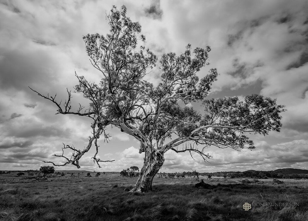 Calluses and Clouds: The Grit of Kosciuszko +Rework - Landscape ...