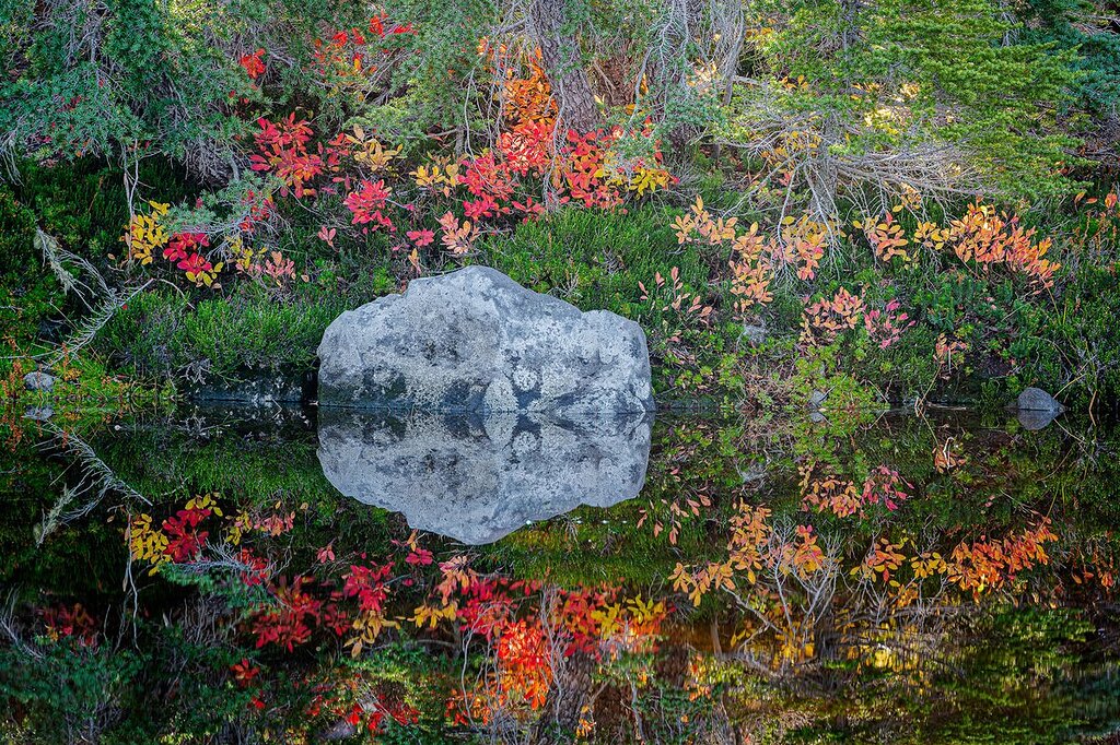 Tarn Rock w/ Repost - Image Critiques - Nature Photographers Network
