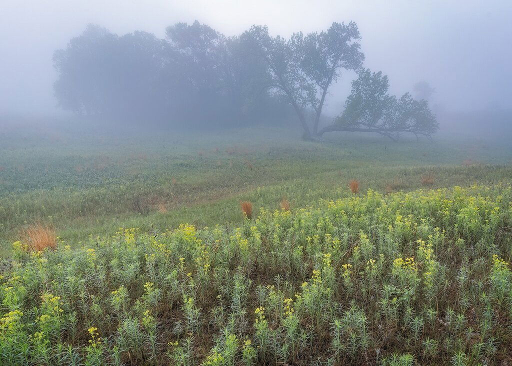Help me curate - Sheyenne National Grasslands - Project Critiques ...