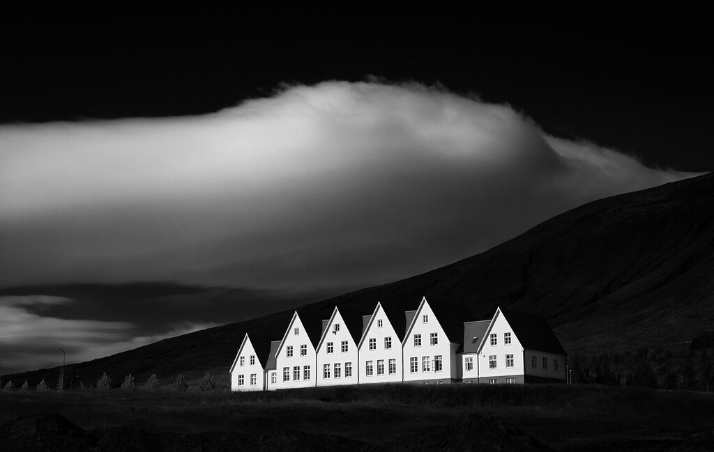 Some of this Year's Favorite Images - Image Critiques - Nature ...