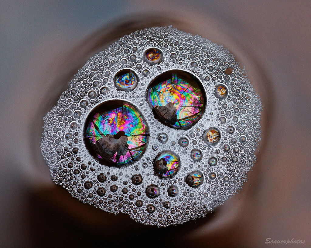 Iridescent Bubbles - Image Critiques - Nature Photographers Network