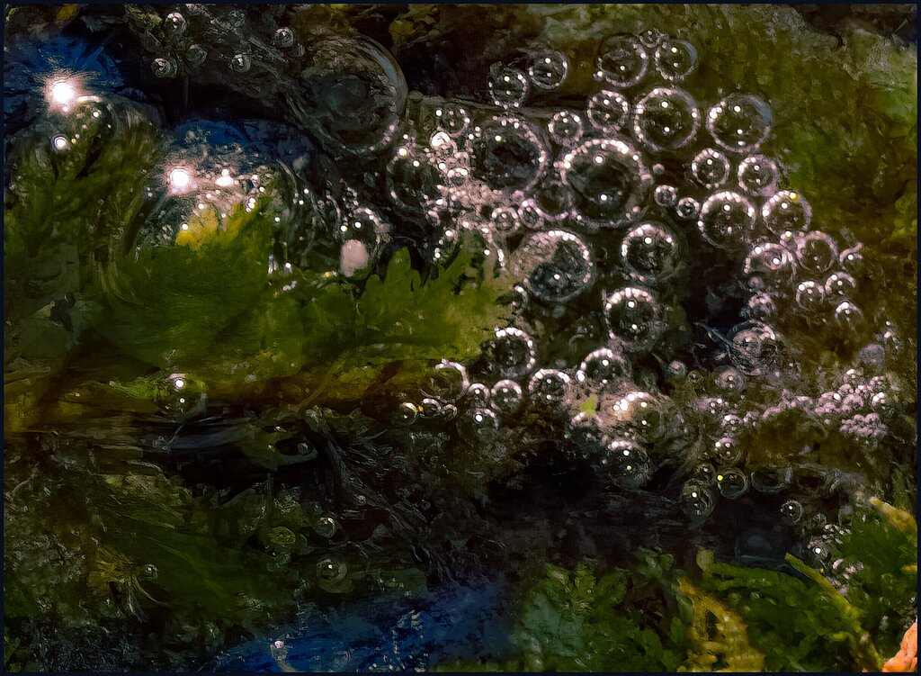Tiny Bubbles + Orange Blob B-Gone Version - Image Critiques - Nature ...