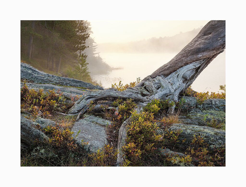 Repose - Landscape Critiques - Nature Photographers Network