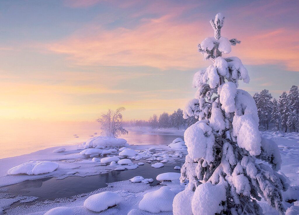 The embrace of frost - Weekly Challenge - Nature Photographers Network