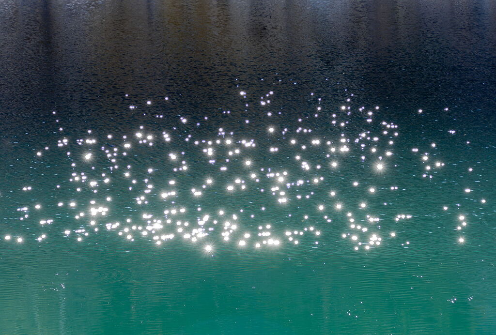 Twinkle Twinkle Little Stars - Weekly Challenge - Nature Photographers ...