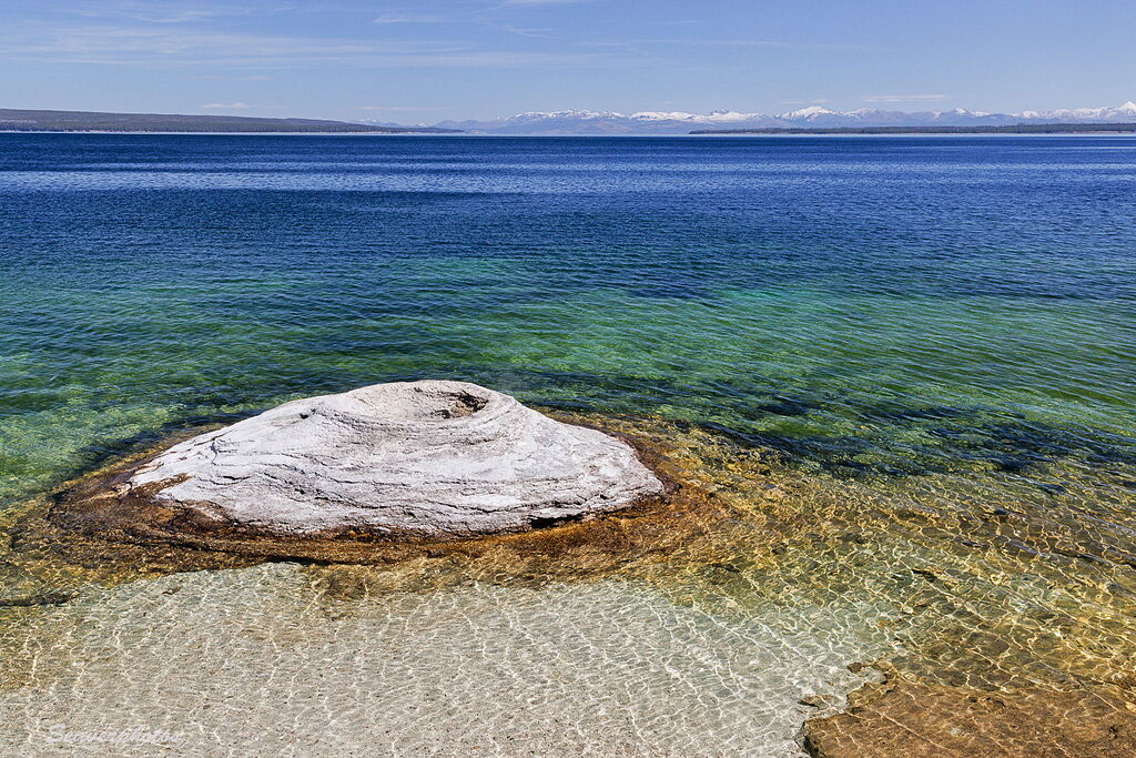 Fishing Cone Colors - Weekly Challenge - Nature Photographers Network