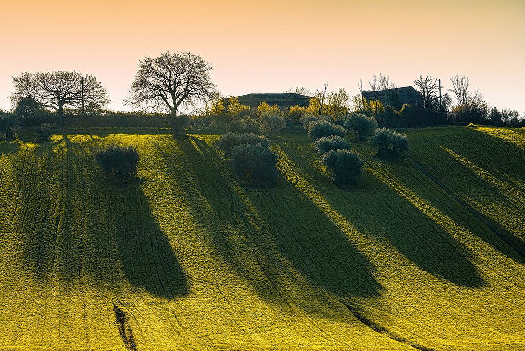 At dawn the sun climbs the hill - Landscape Critiques - Nature ...