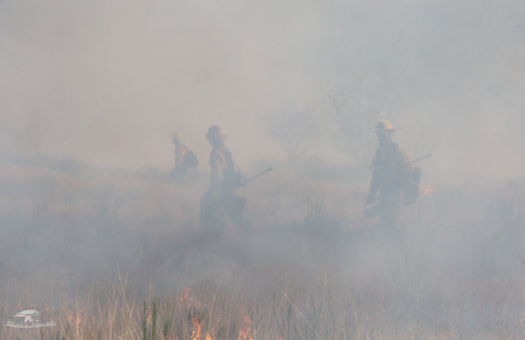 Controlled Burn - Weekly Challenge - Nature Photographers Network