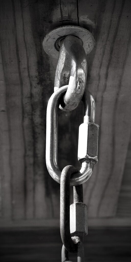 Hook and Lock - Everything Else Critiques - Nature Photographers Network