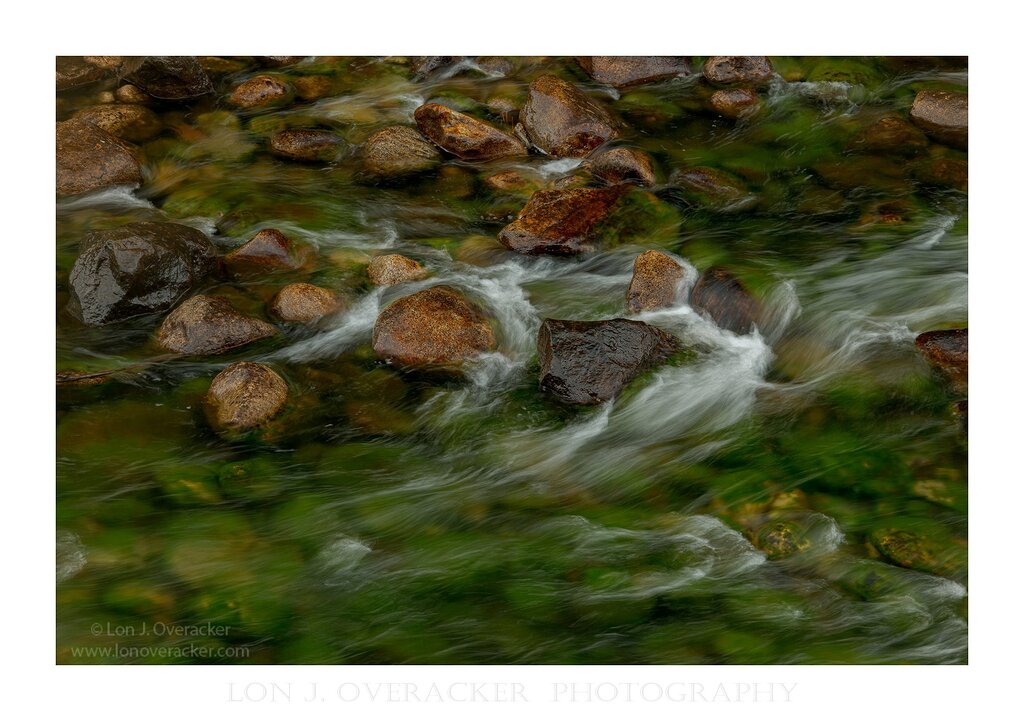 Slippery When Wet - Image Critiques - Nature Photographers Network