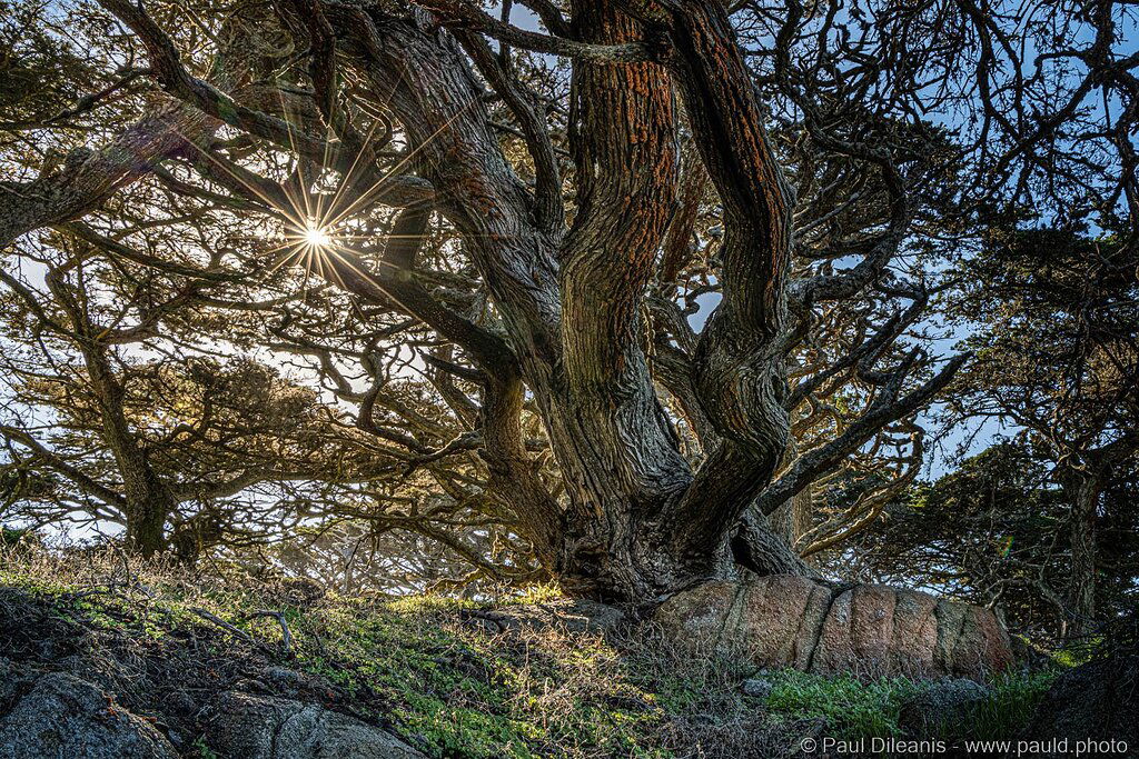 Confusion and Enlightenment - Landscape Critiques - Nature ...