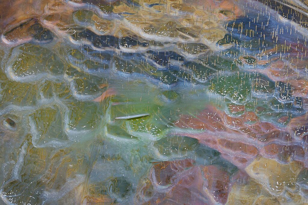 Restful - Abstract Nature Critiques - Nature Photographers Network