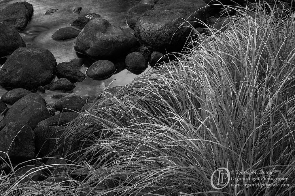 Bowing to Stone - Landscape Critiques - Nature Photographers Network