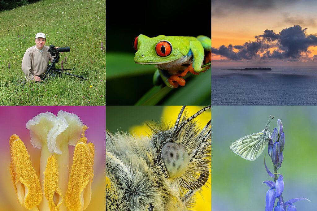 I'm Robert Thompson, ask me anything! - Ask Me Anything (AMA) - Nature Photographers Network