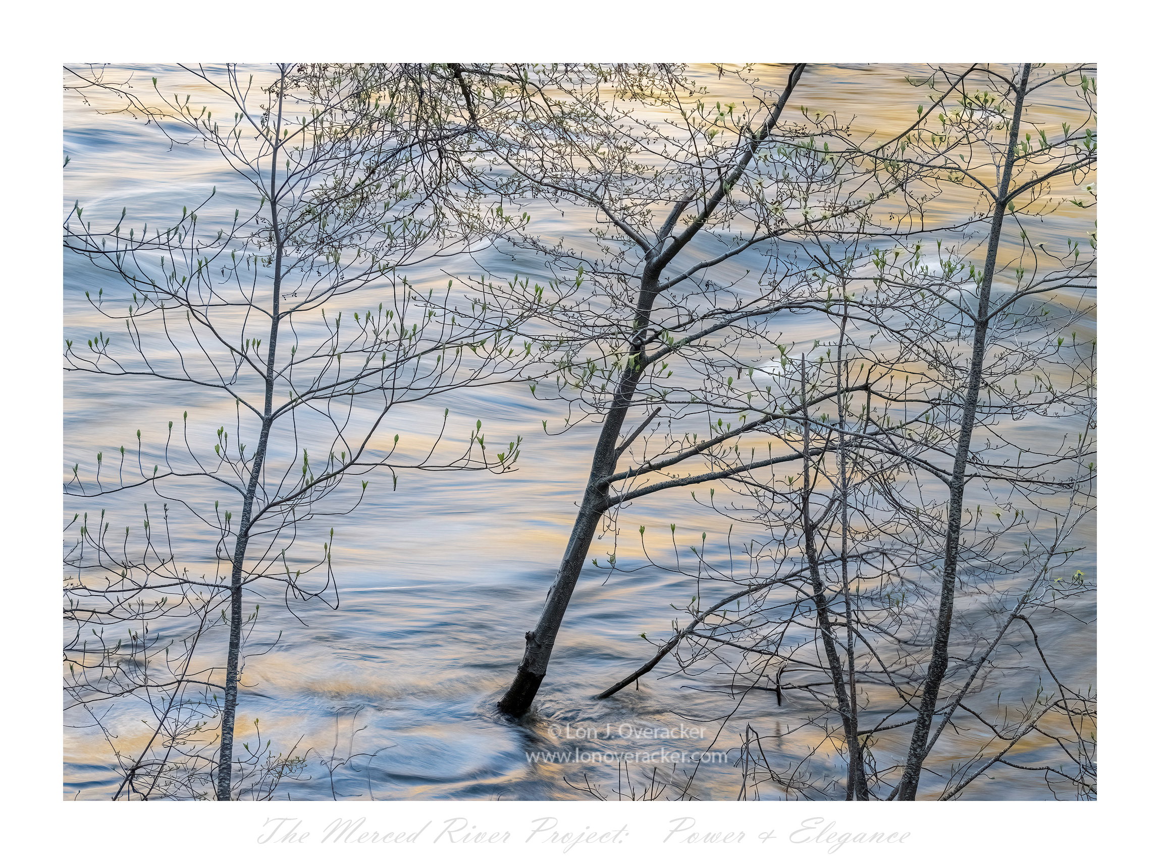 The Merced River: Power & Elegance - Project Critiques - Nature ...