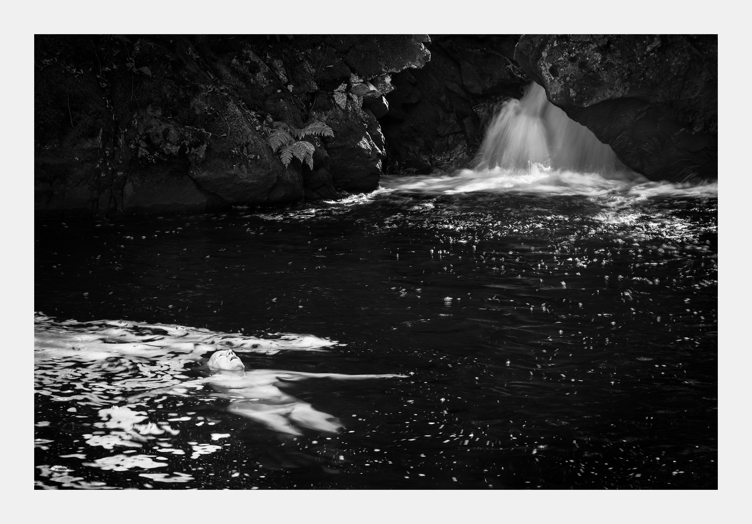 No Title - Everything Else Critiques - Nature Photographers Network