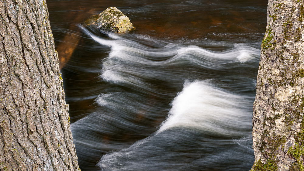 Amongst the Trees - Landscape Critiques - Nature Photographers Network