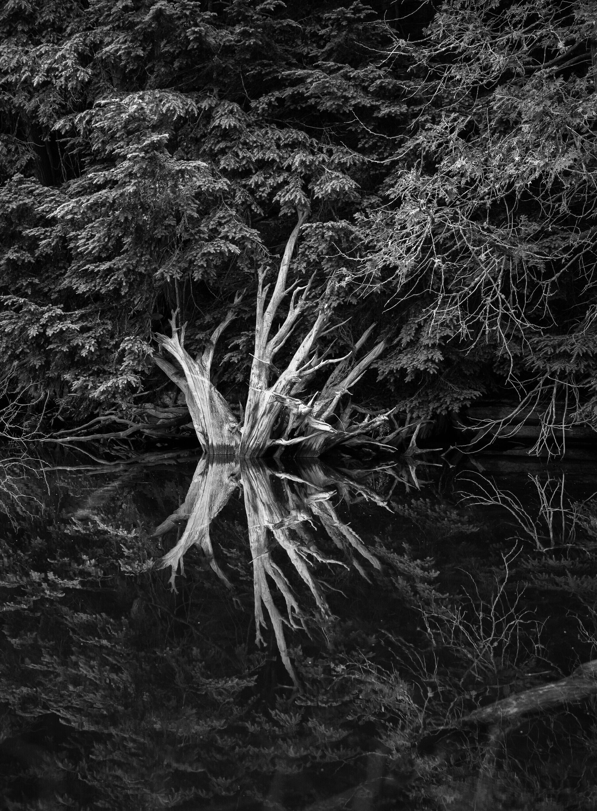 Starburst - Landscape Critiques - Nature Photographers Network