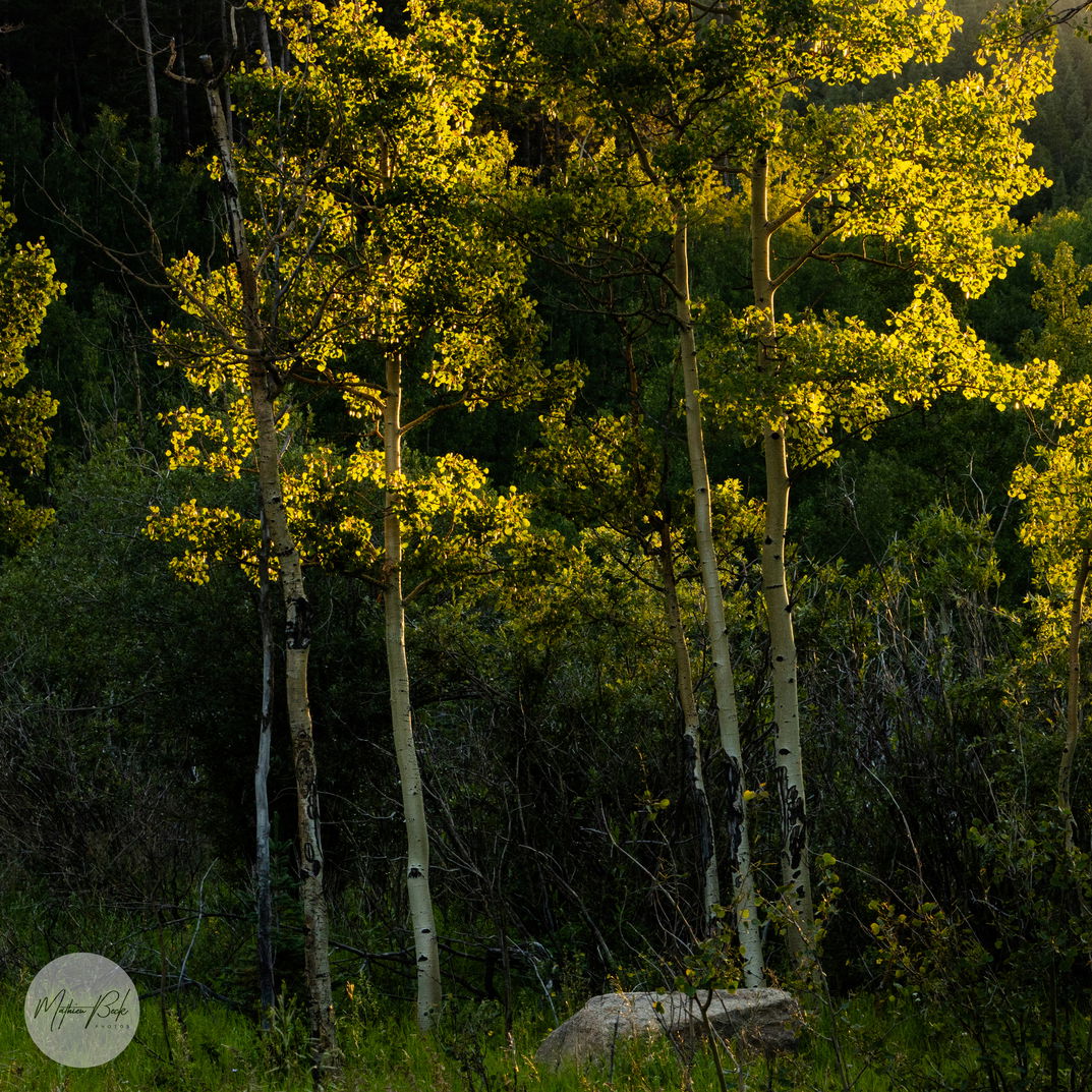 Pre Fall - Landscape Critiques - Nature Photographers Network