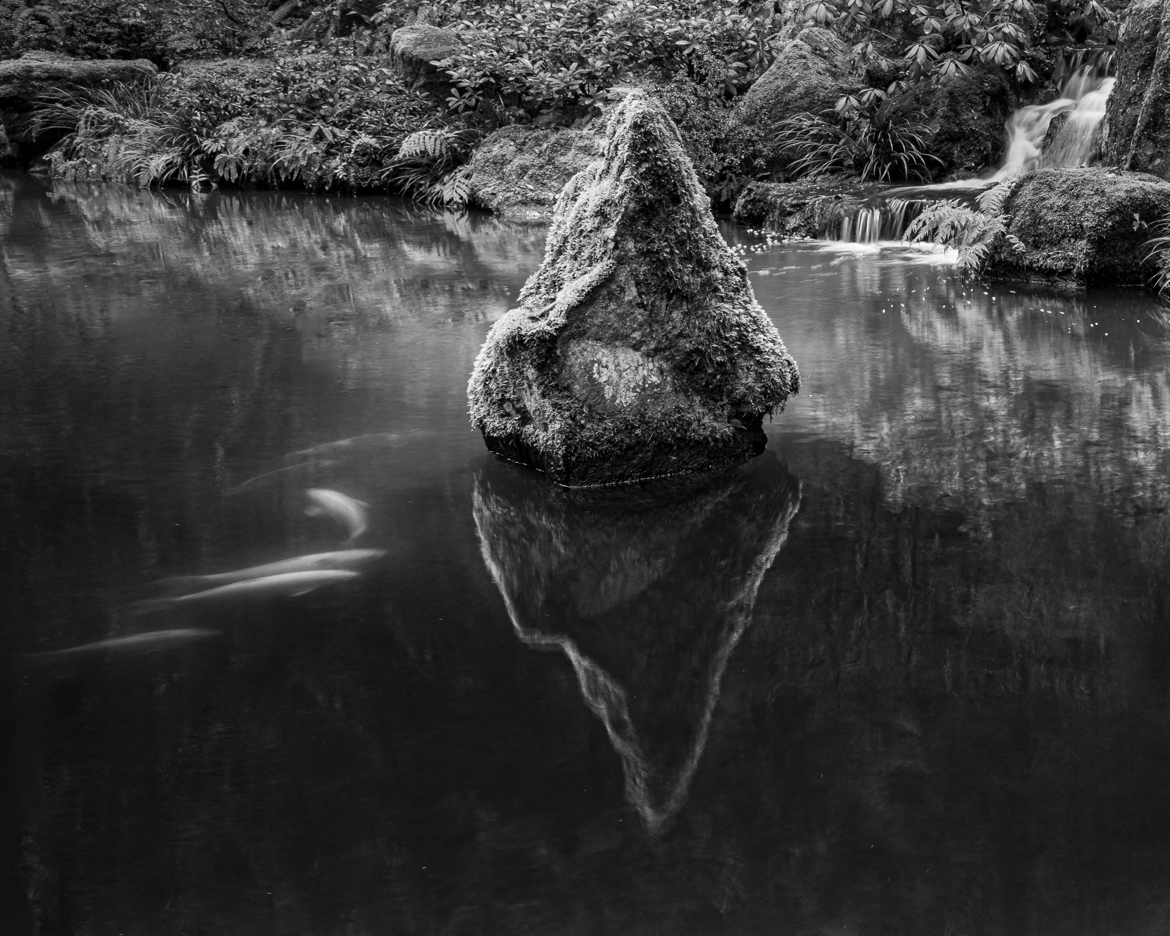 Pyramid Rock and Koi - Landscape Critiques - Nature Photographers Network