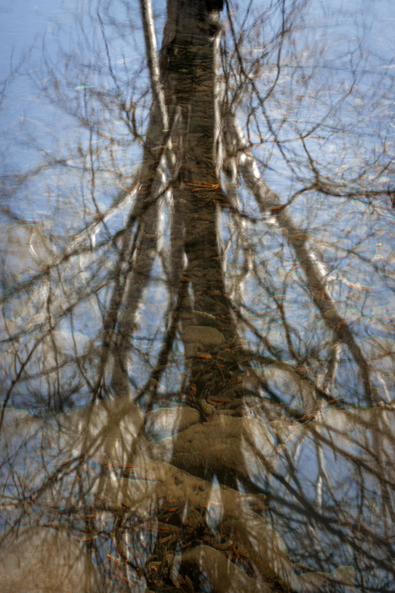 Two planes - Abstract Nature Critiques - Nature Photographers Network
