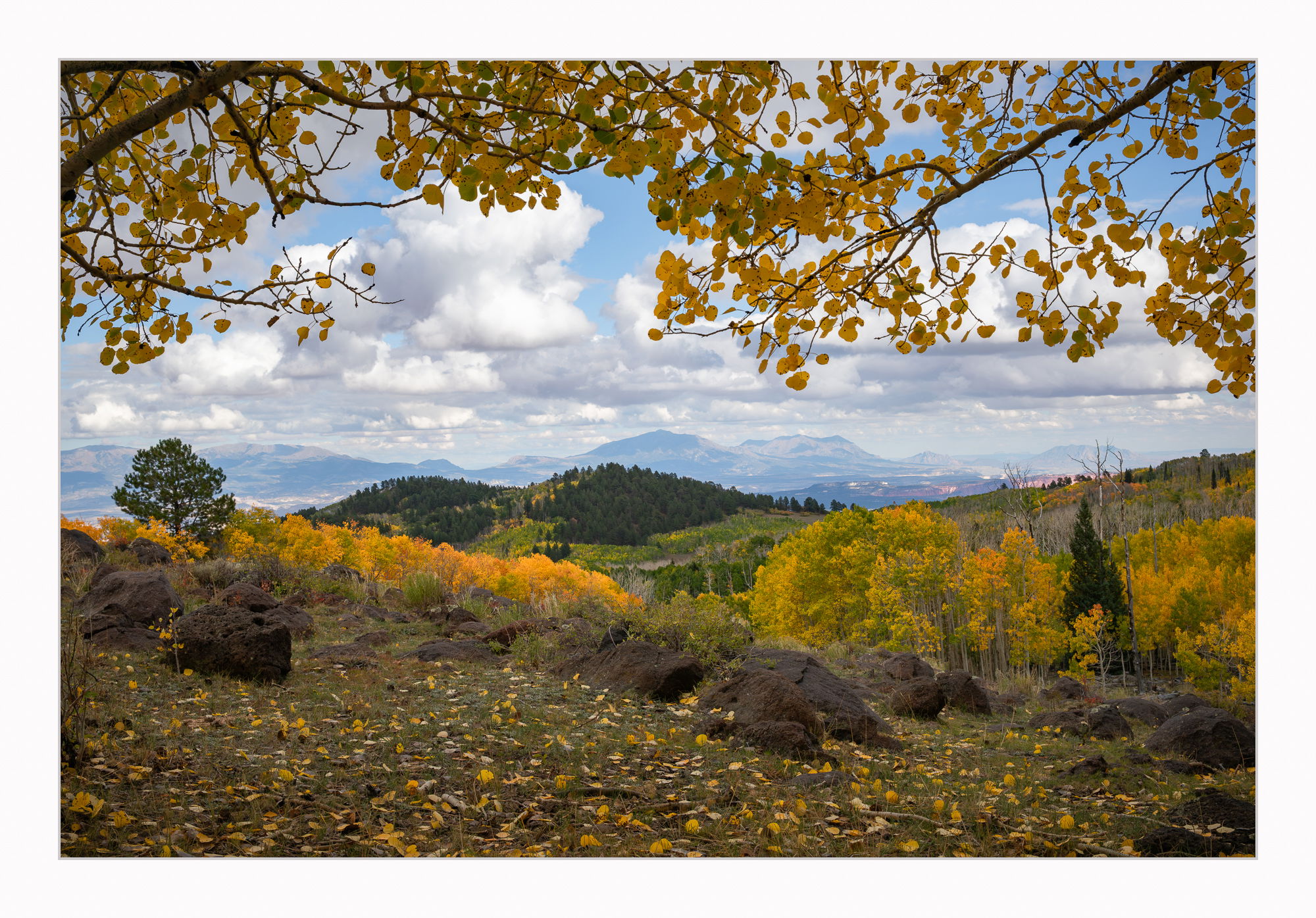 Utah Fall Colors - Landscape Critiques - Nature Photographers Network