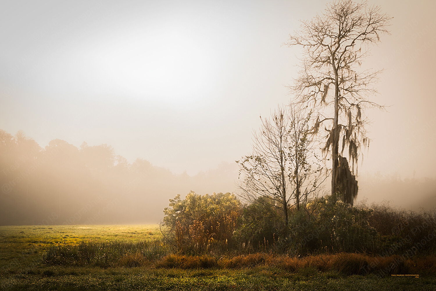 Feast Upon the Soul of this Morning - Landscape Critiques - Nature ...