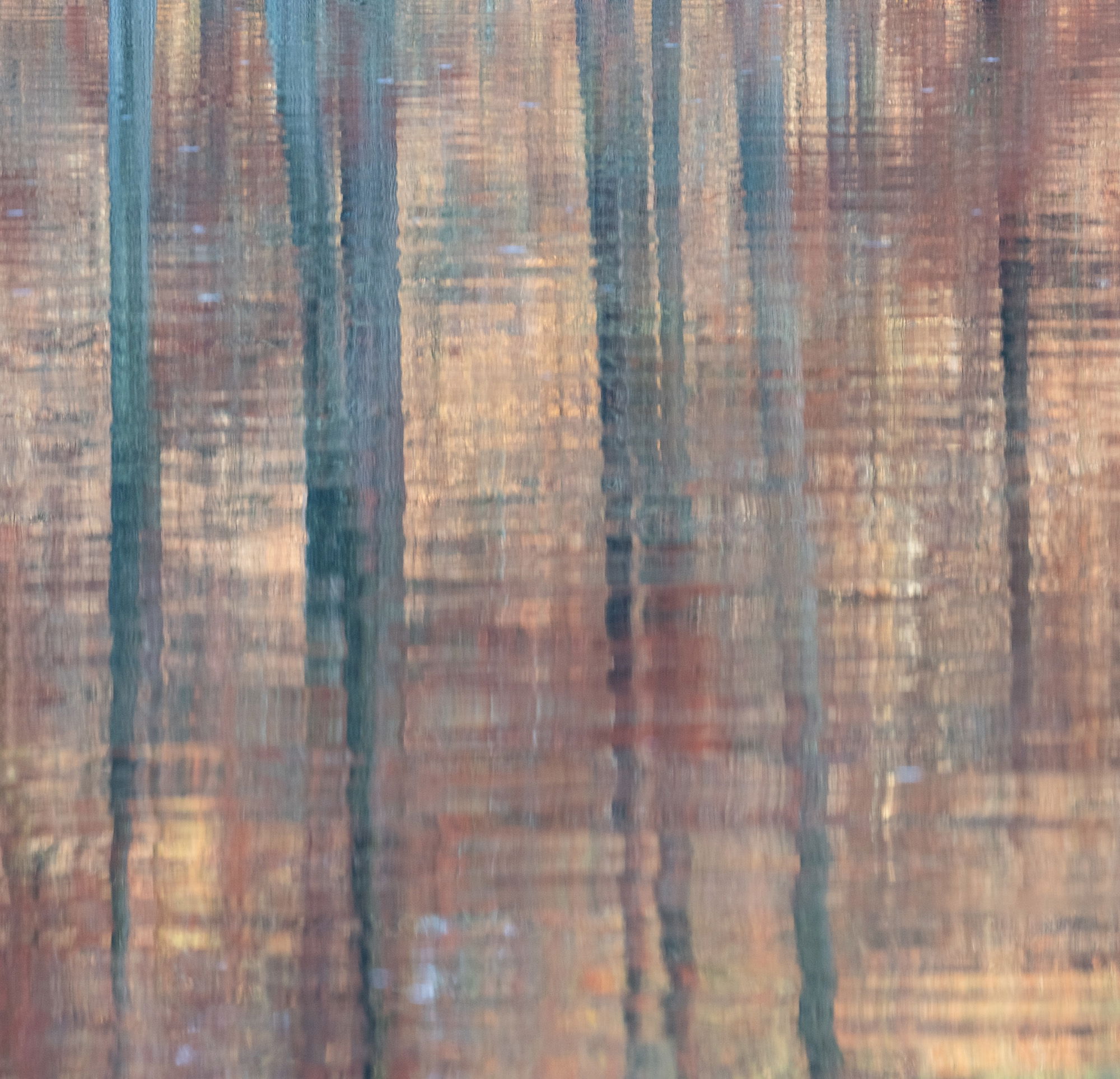 Reflected Patterns + Uncropped Version - Landscape Critiques - Nature ...