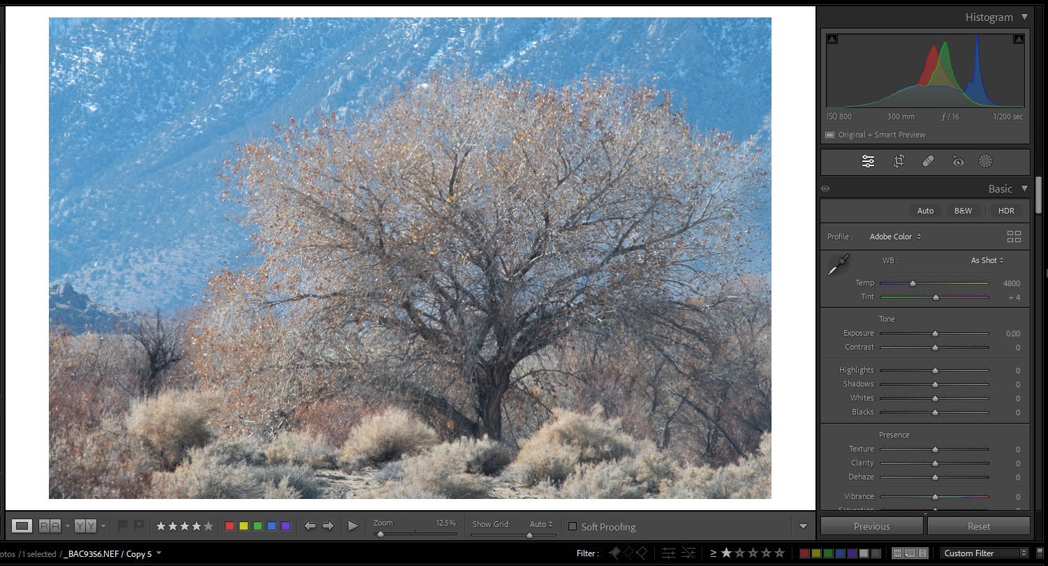 Lightroom masking artifacts - Discussions - Nature Photographers Network