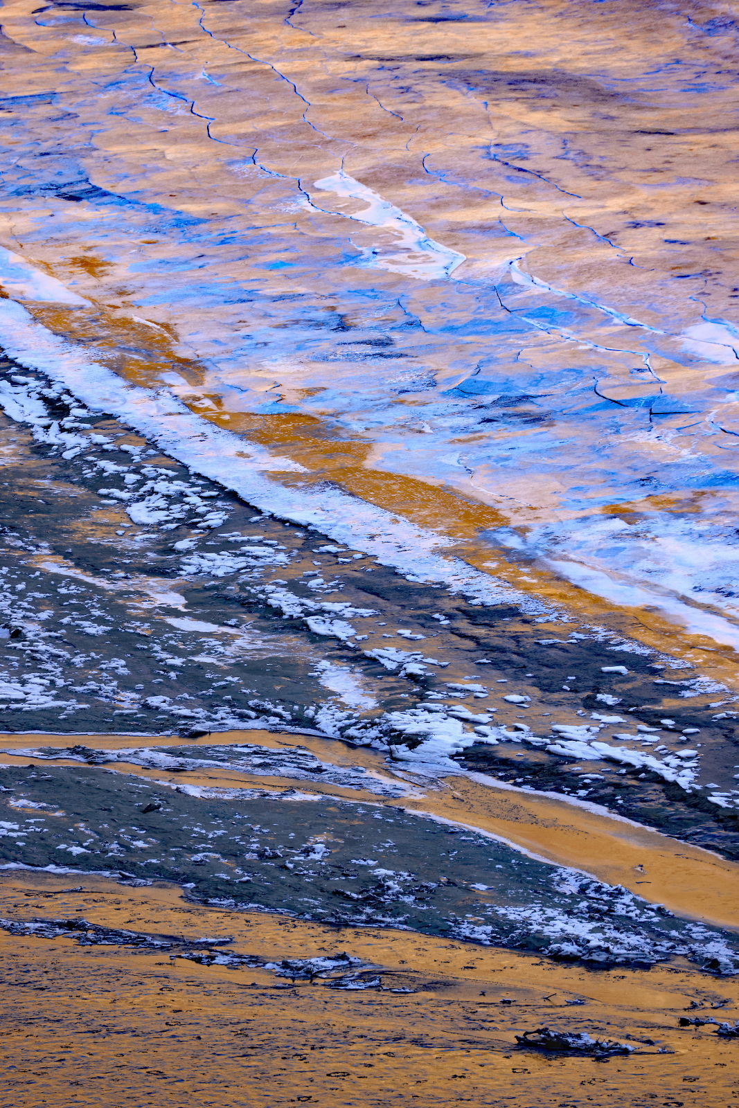 2025showcase - Weekly Challenge - Nature Photographers Network