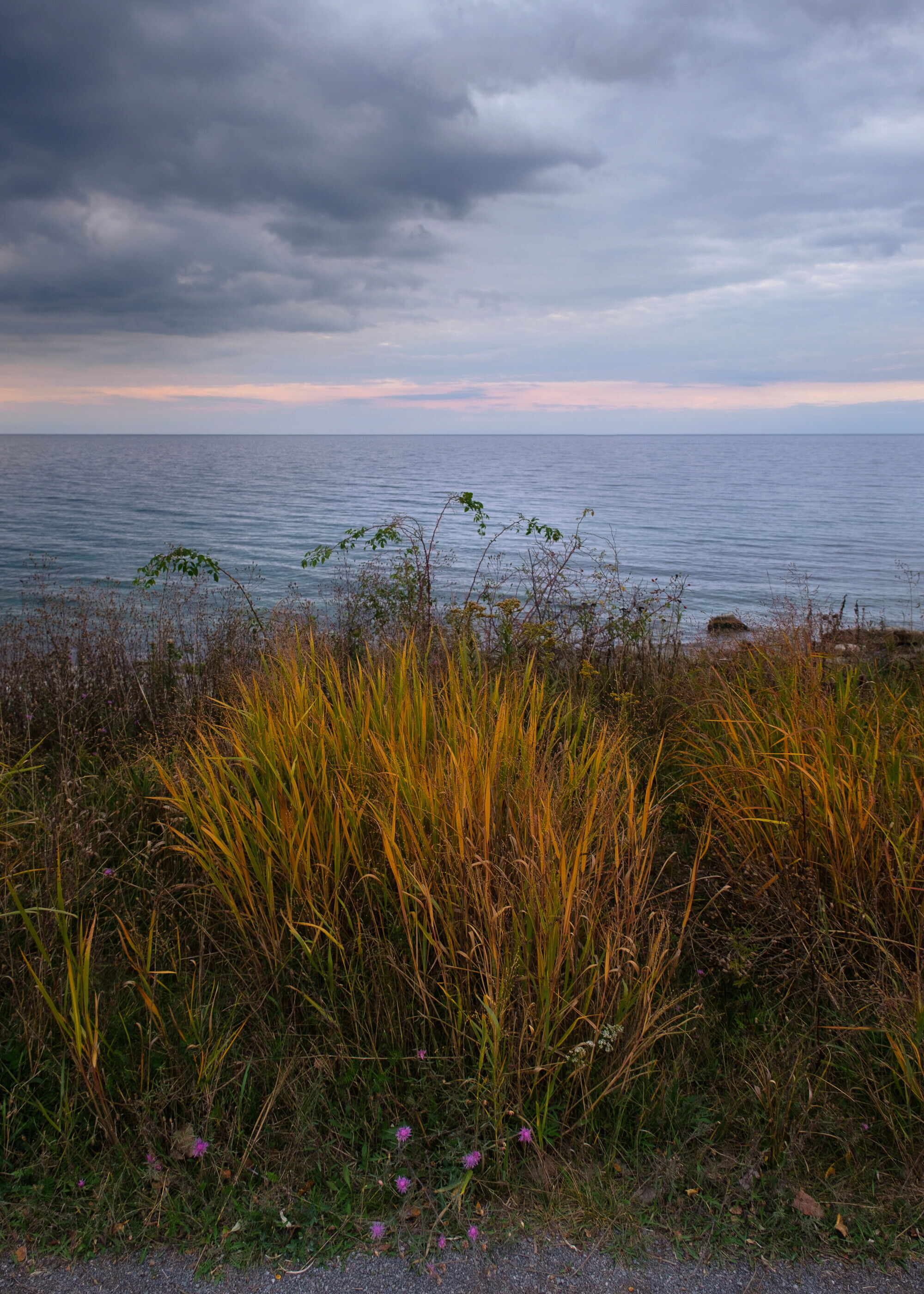 Just some grass - Rework - Landscape Critiques - Nature Photographers ...
