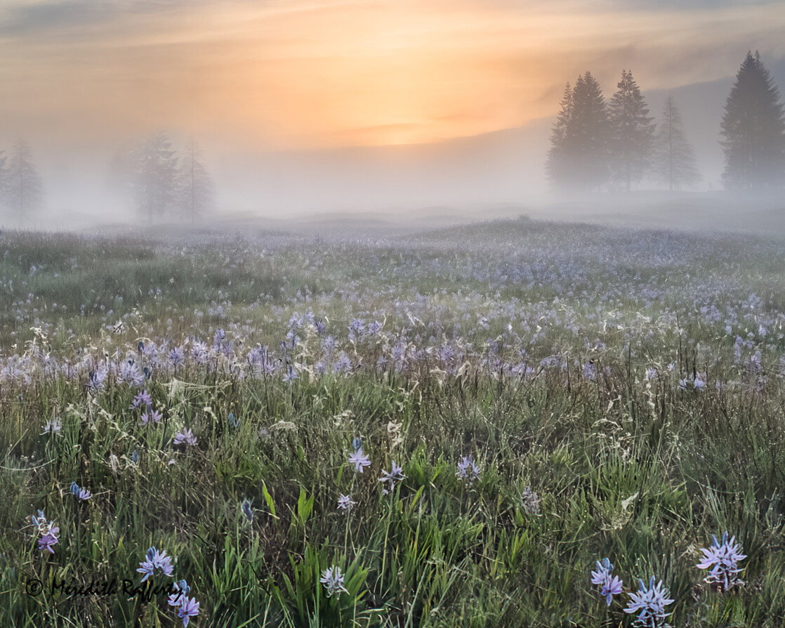 Prairie Morning - Landscape Critiques - Nature Photographers Network