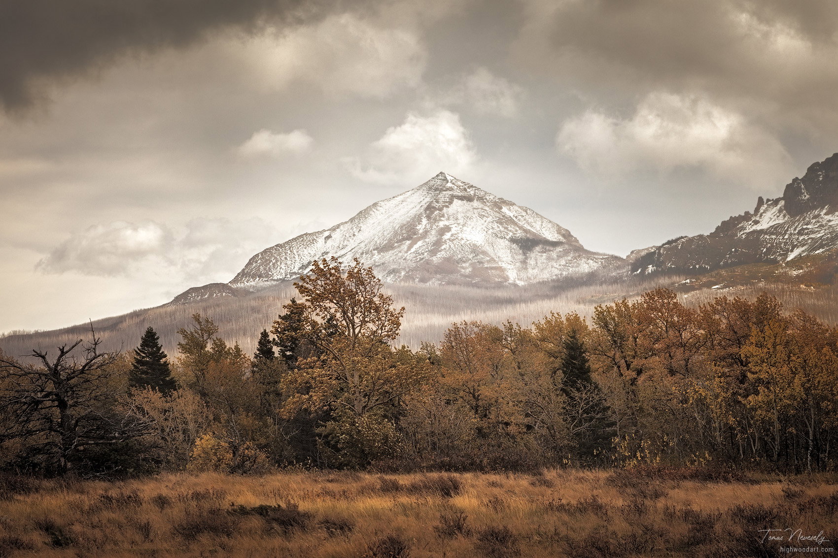 Standing Tall (with repost x2) - Image Critiques - Nature Photographers ...