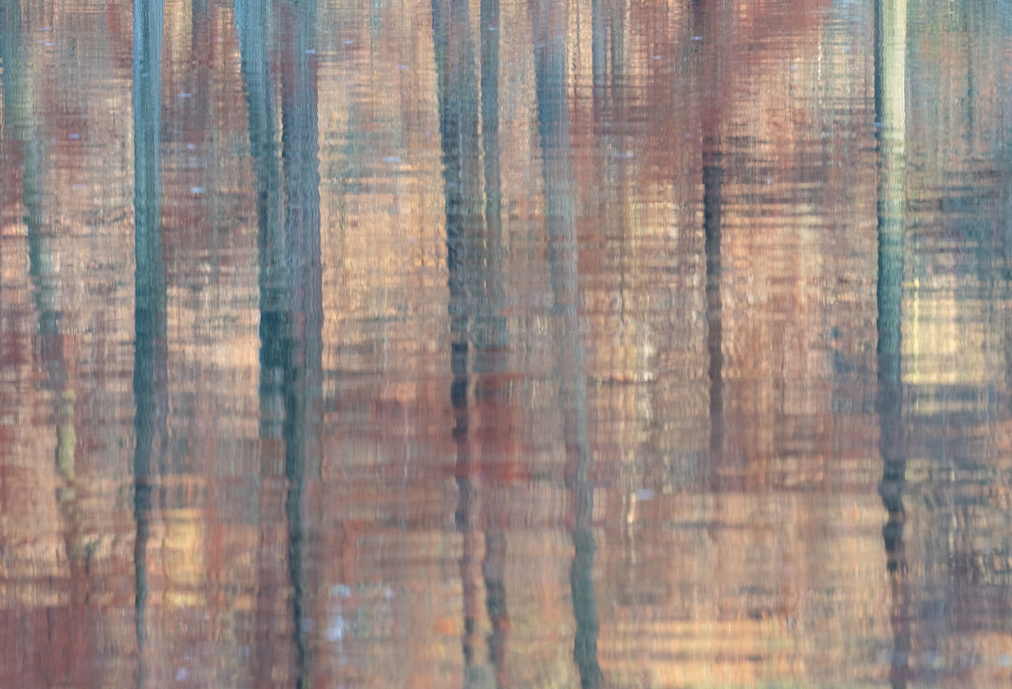 Reflected Patterns + Uncropped Version - Landscape Critiques - Nature ...