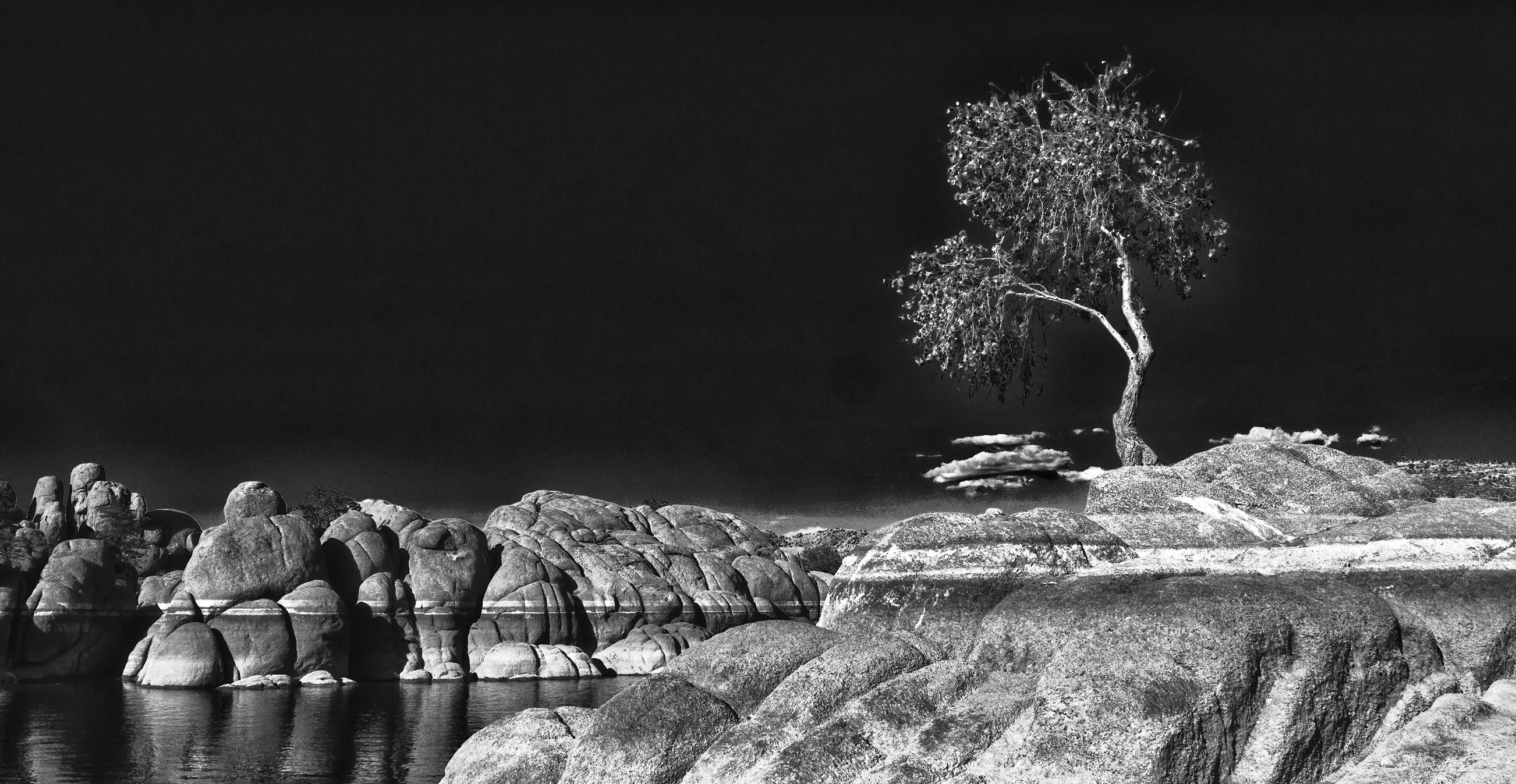 Rock and single Tree 8 - Landscape Critiques - Nature Photographers Network