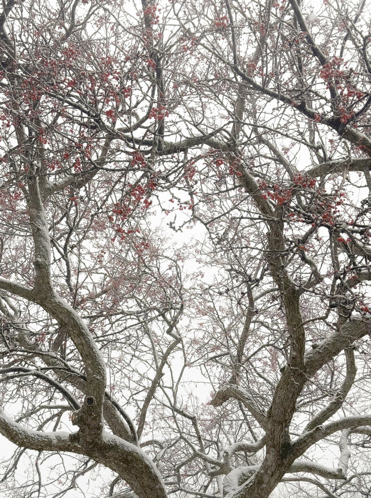 Discovering my love for Small Scenes - Image Critiques - Nature ...