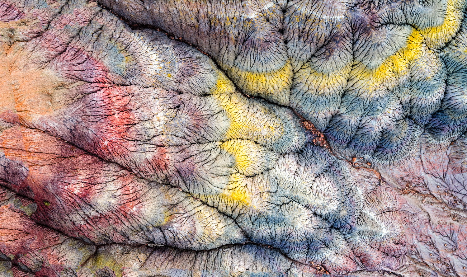 My Brain on Drugs - Image Critiques - Nature Photographers Network