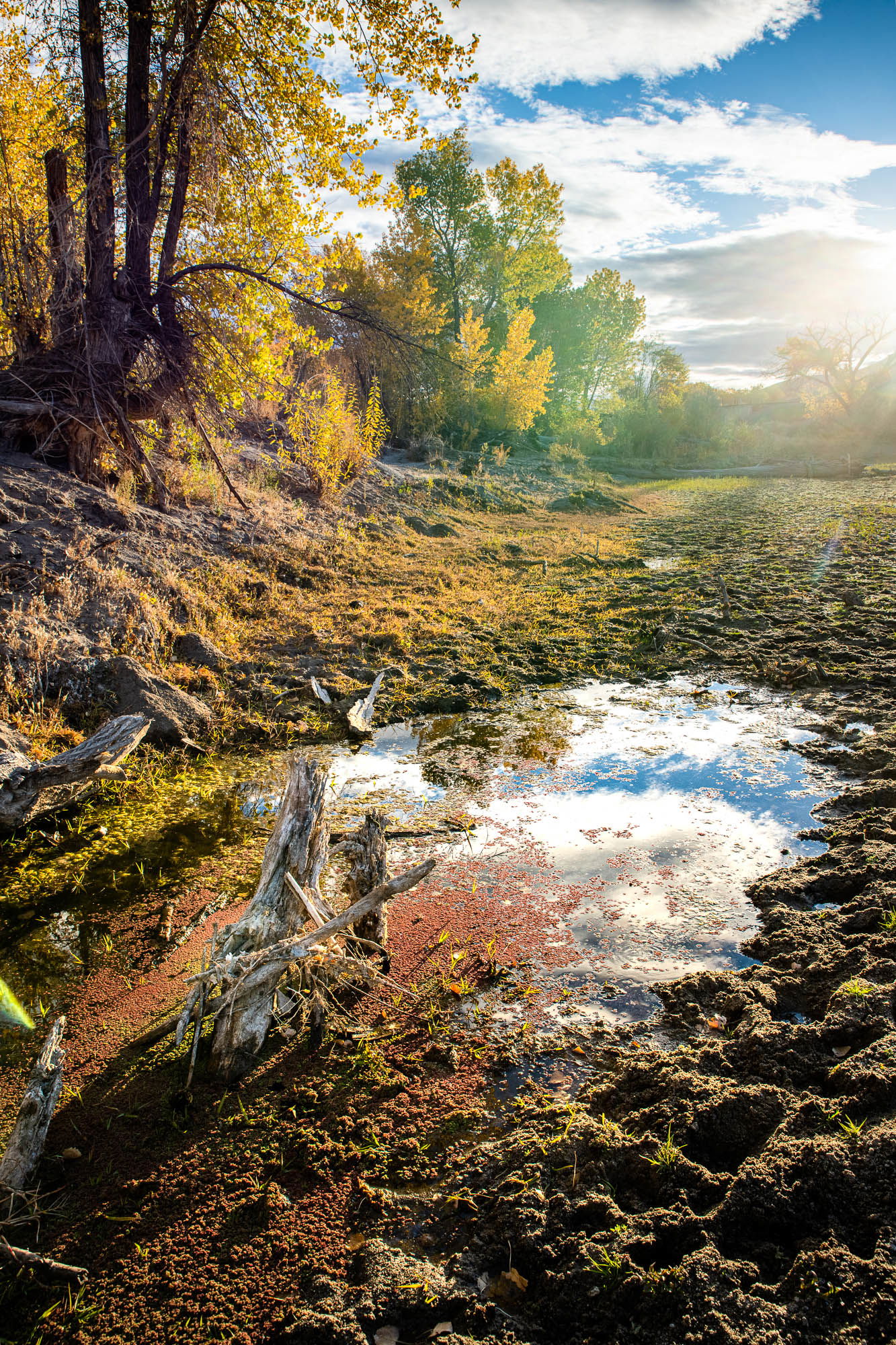 Carson River in a drought year - Landscape Critiques - Nature ...