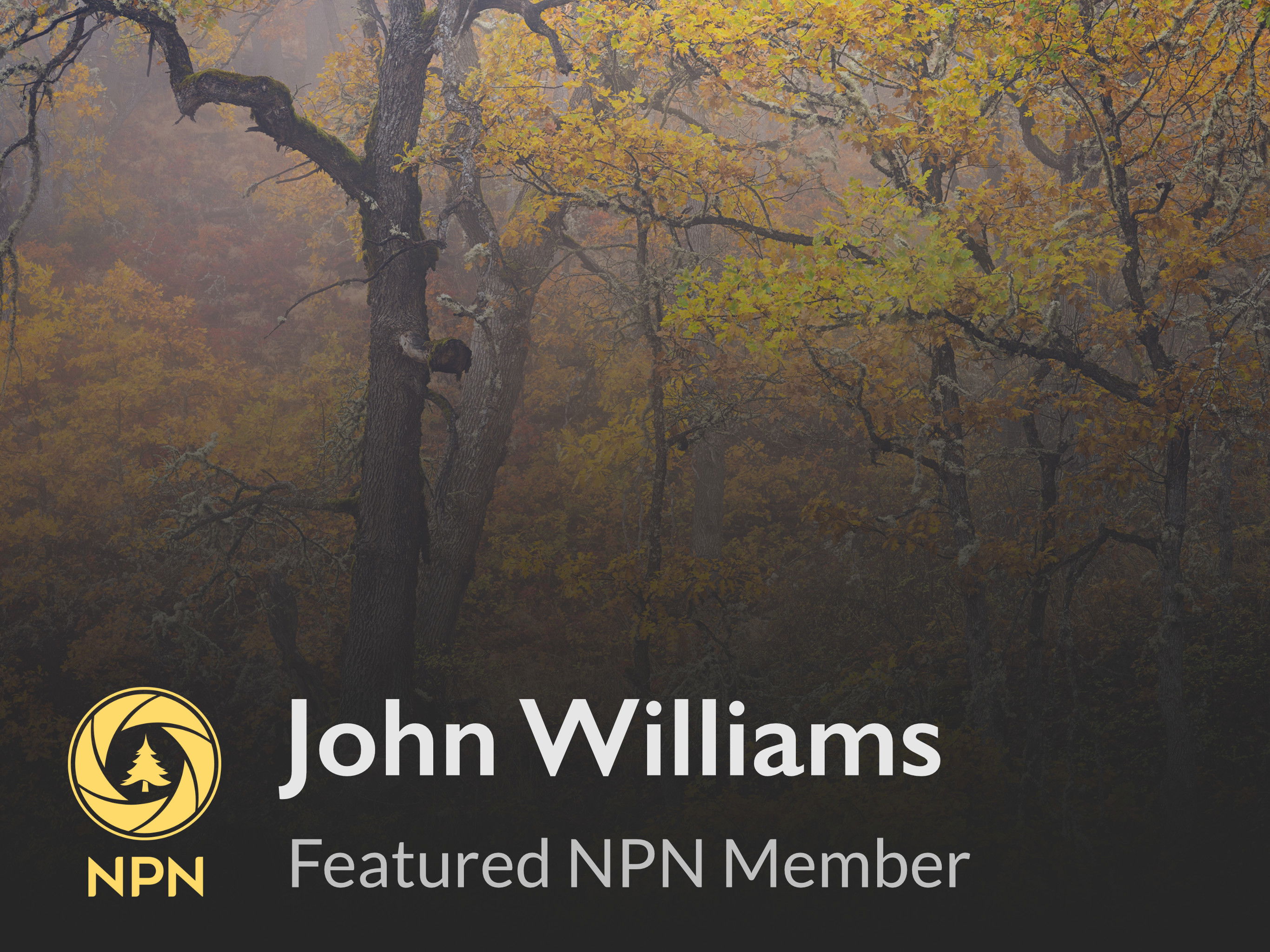 Featured NPN Member John Williams - Nature Vision Magazine - Nature ...