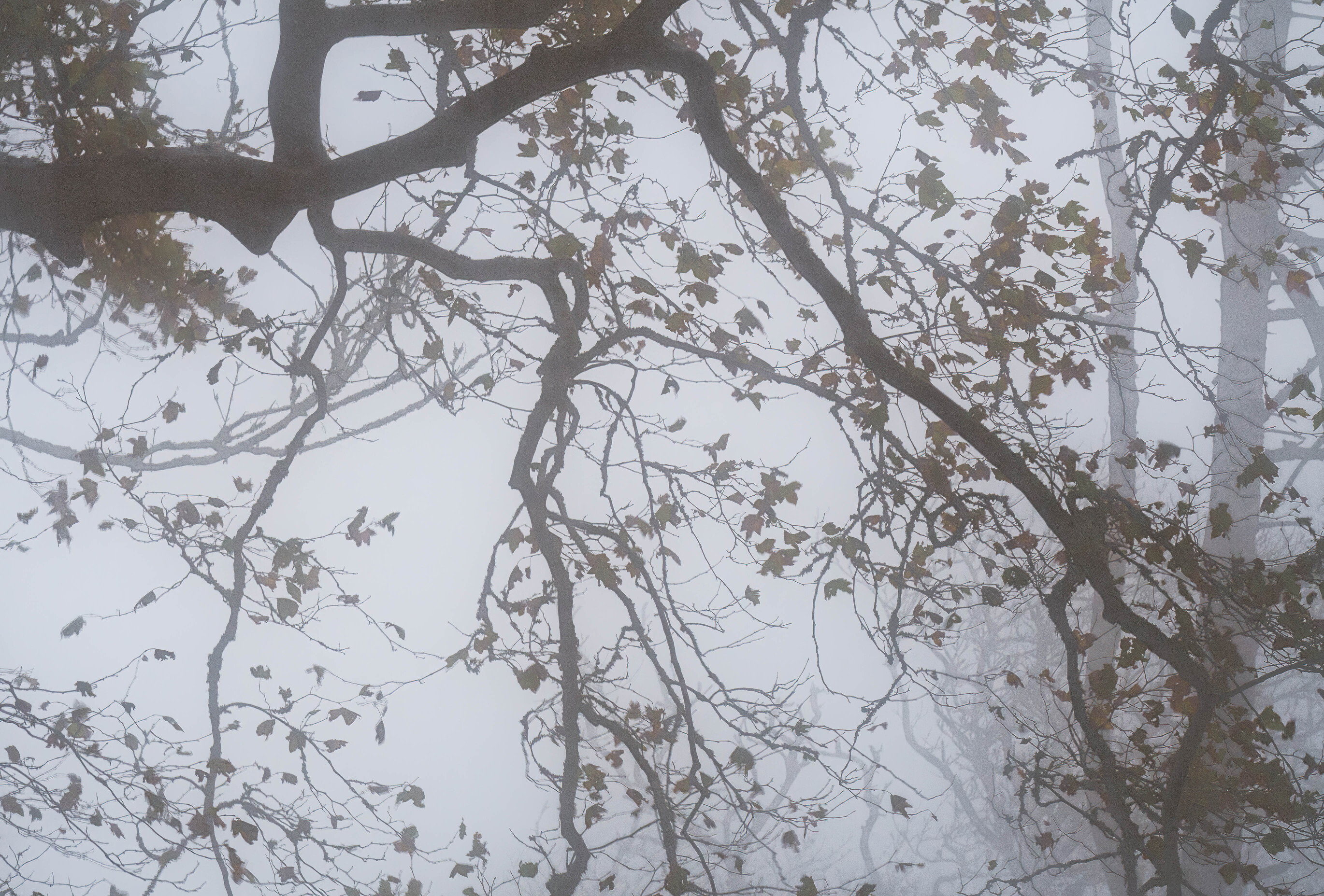 Socked and Soaked - Landscape Critiques - Nature Photographers Network